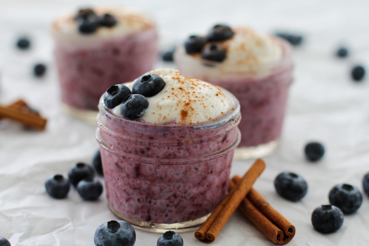 Blueberry Chia Seed Pudding - Wholesome Family Living