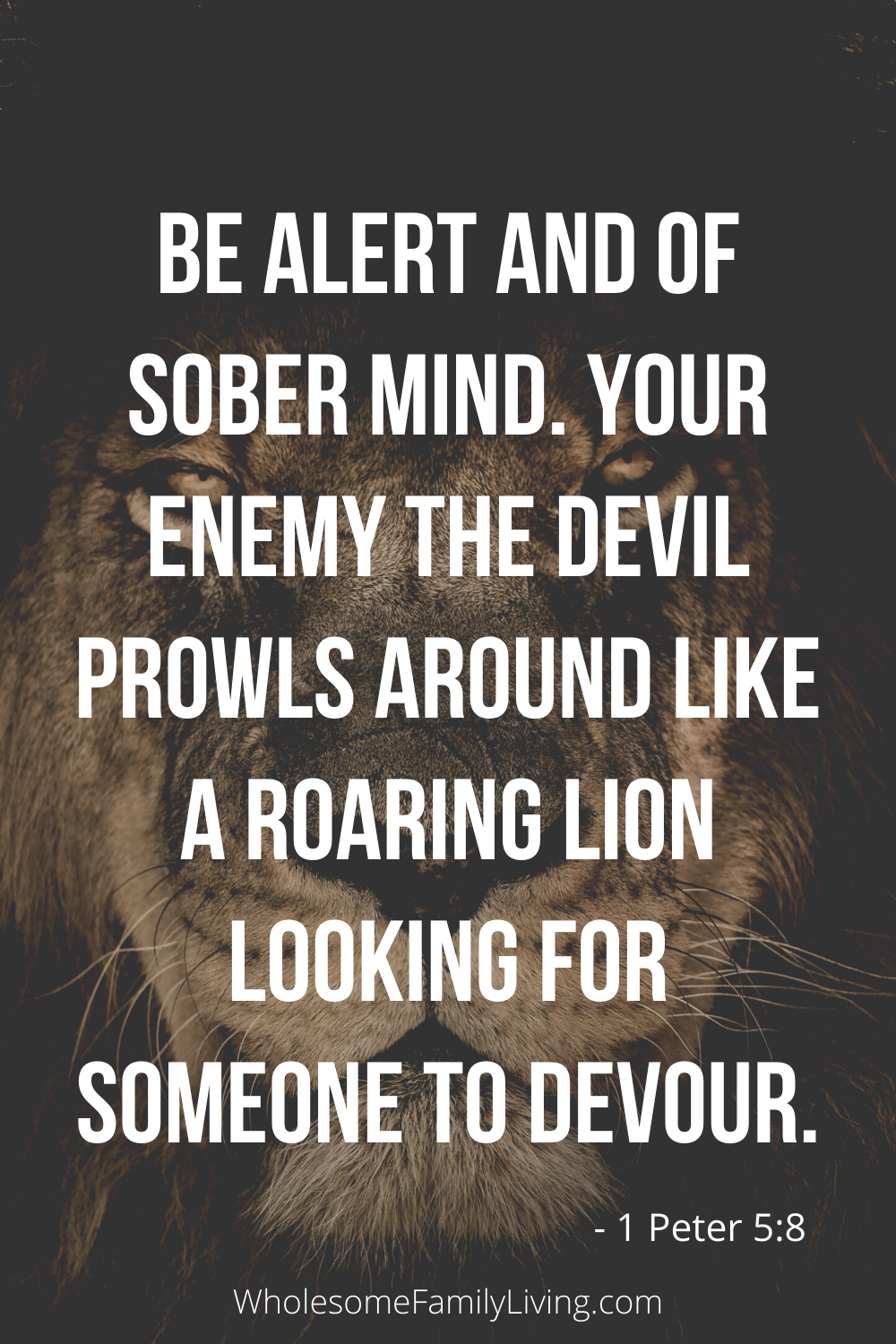 3 Ways Satan Deceives Us - Wholesome Family Living