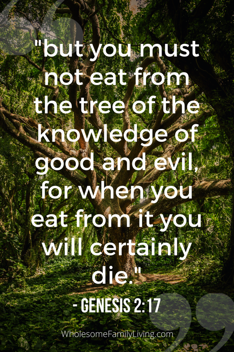 3 Ways Satan Deceives Us - Wholesome Family Living